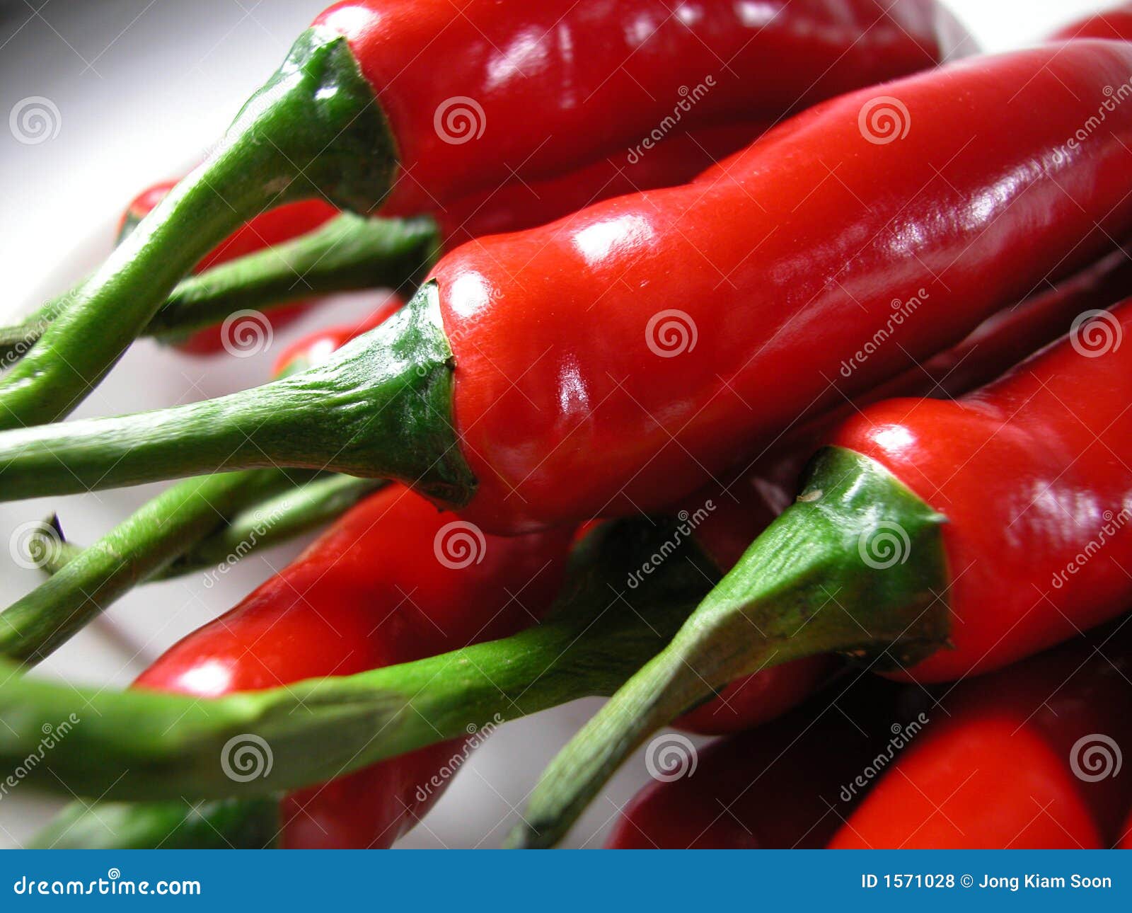 Chilies stock photo. Image of cook, asian, food, asia - 1571028