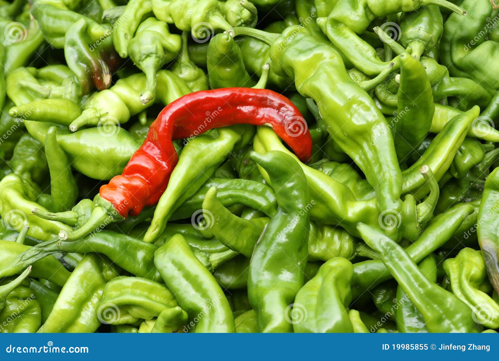 Chilies stock image. Image of unsalted, spicy, eating - 19985855
