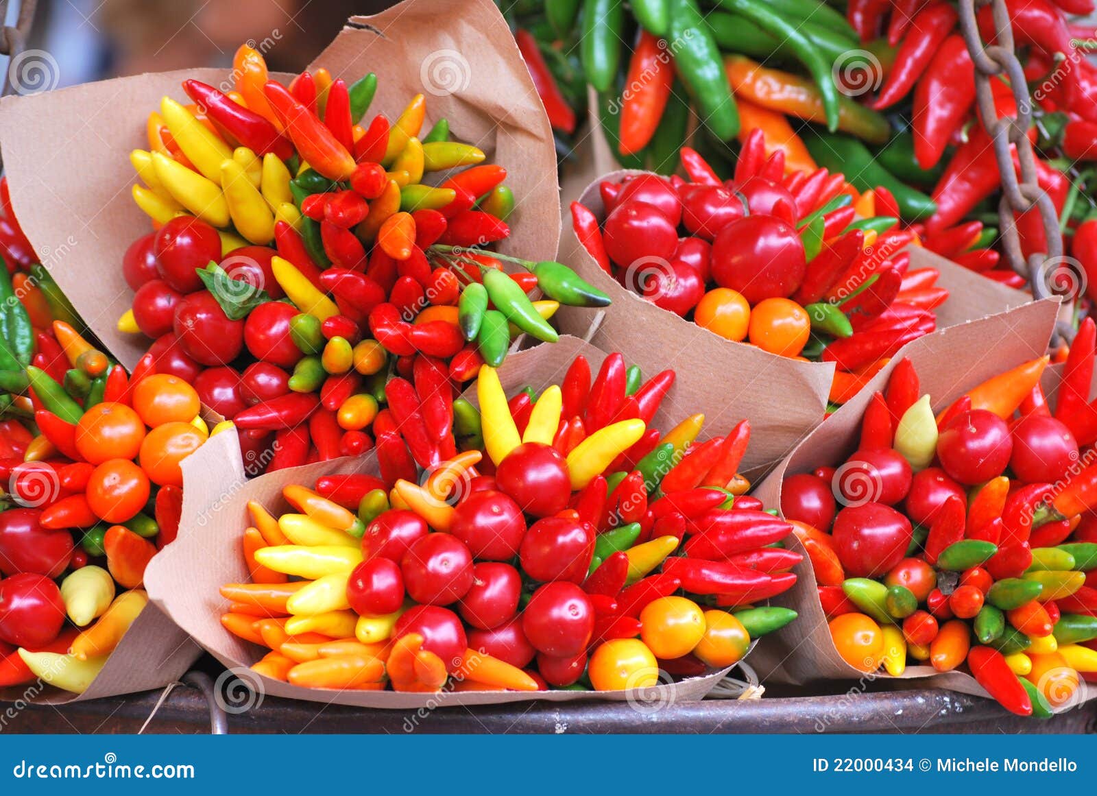 Chilies stock photo. Image of market, chili, colorful - 22000434