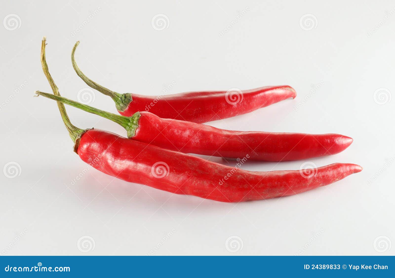 Chilies stock image. Image of white, spicy, ingredient - 24389833