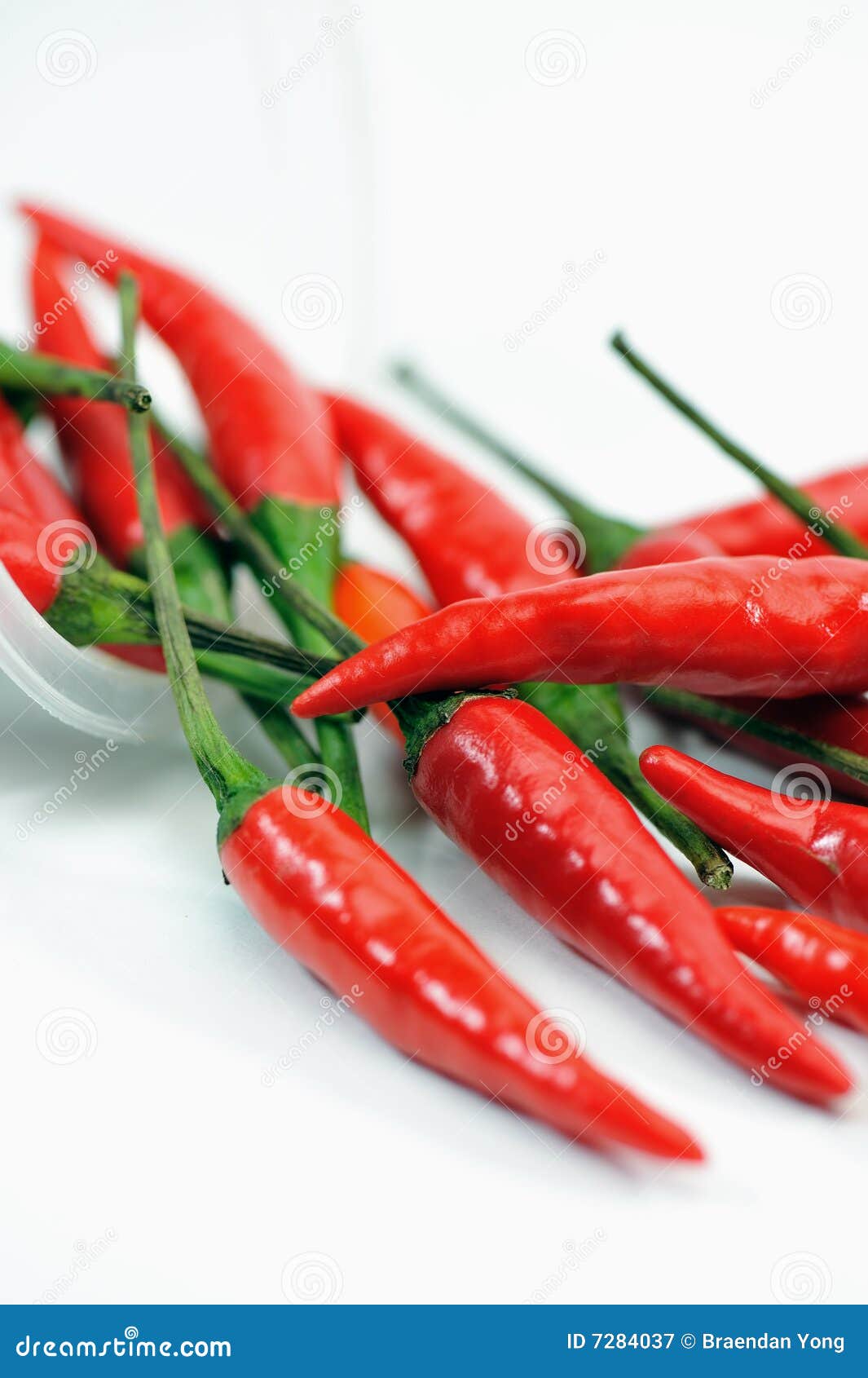 Chilies Series 1 stock image. Image of japanese, natural - 7284037