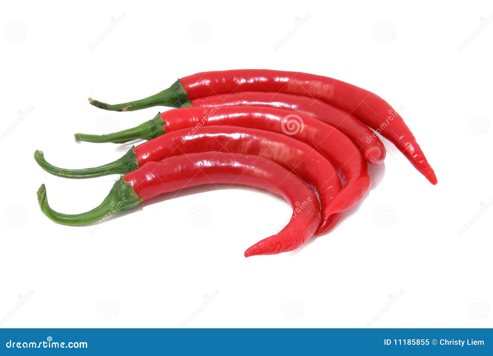 Chilis 2 stock image. Image of asian, gardening, curry - 11185855