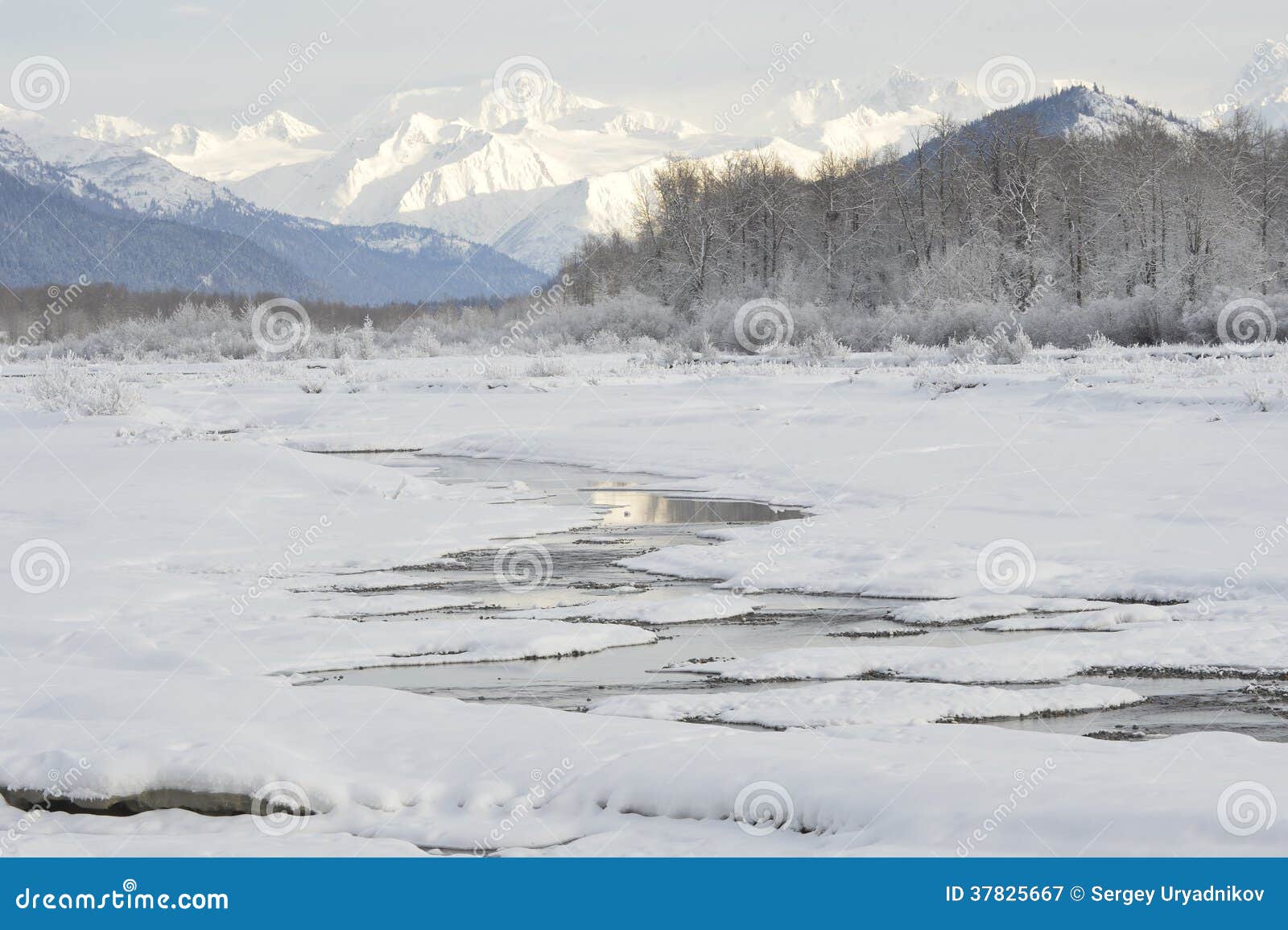 Chilkat River. stock image. Image of rock, heavens, haze - 37825667