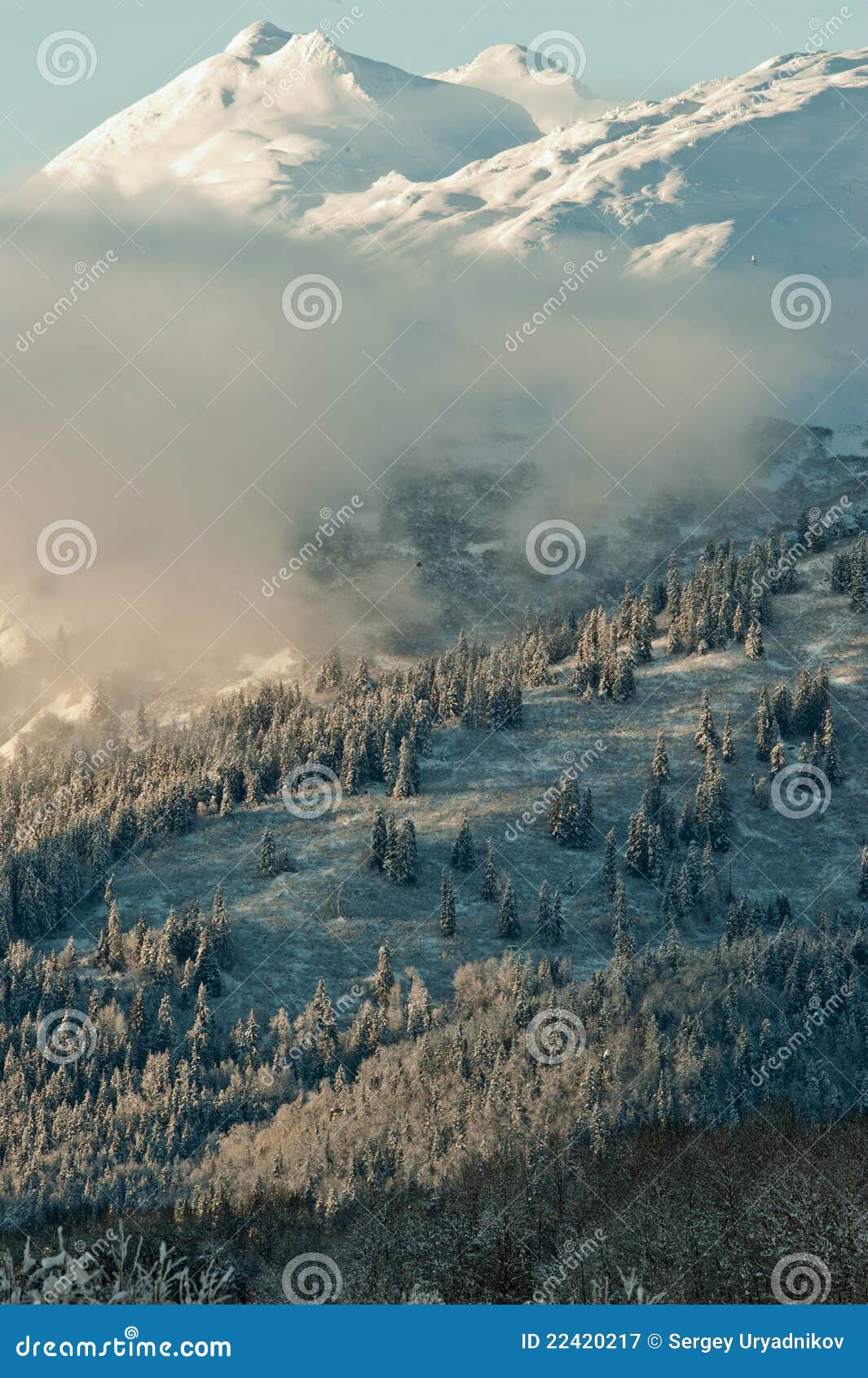 The Chilkat Valley stock image. Image of alaska, beautiful - 22420217
