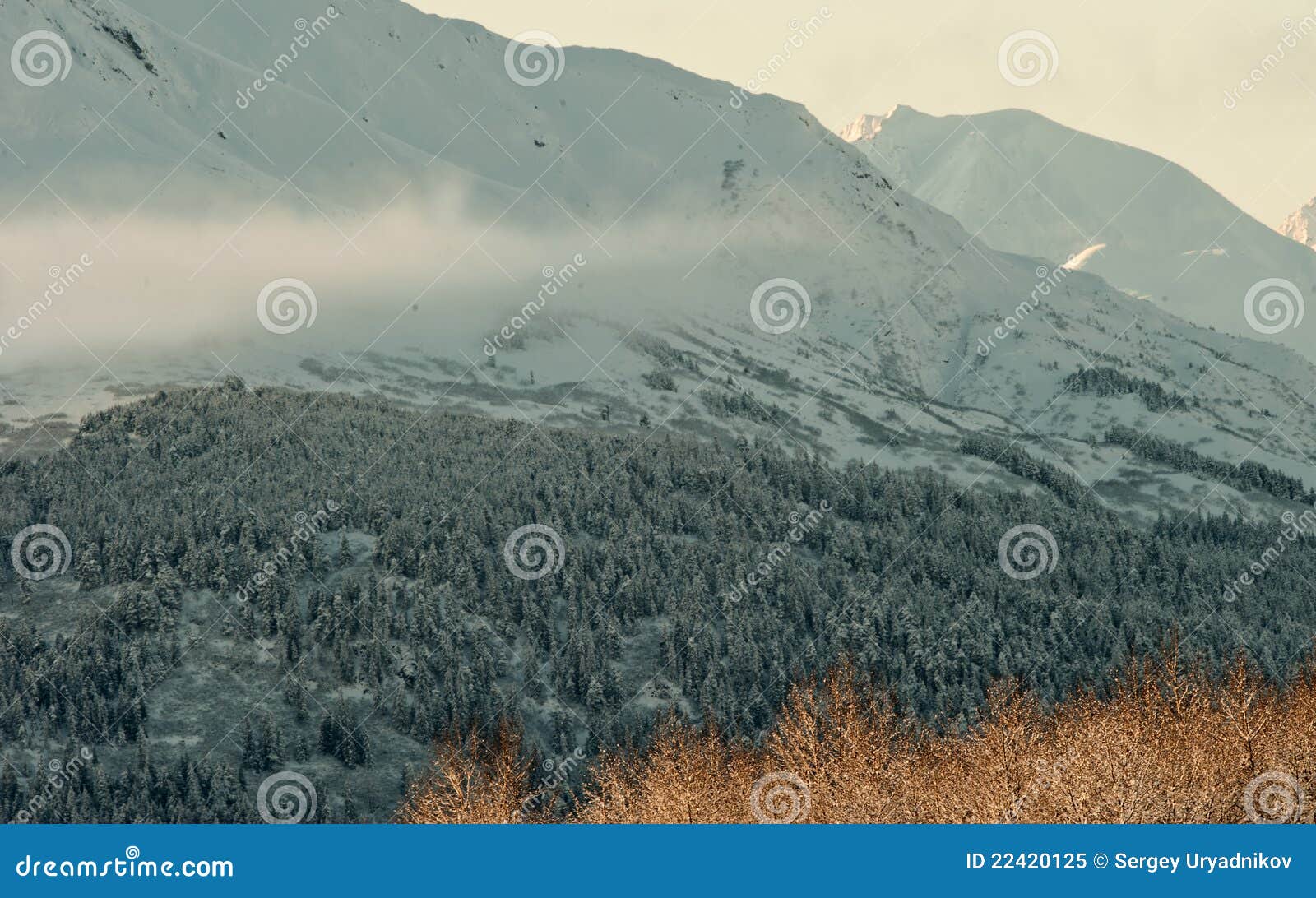 The Chilkat Valley Under a Covering of Snow Stock Image - Image of ...