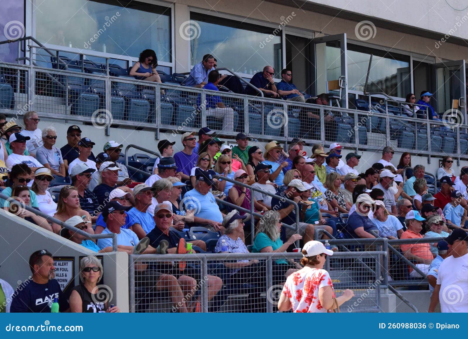 Chill Crowd at Spring Training Game in Southern Florida Editorial Photo ...