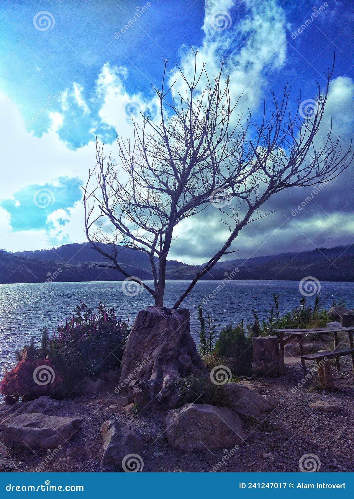 Chill lake atmosphere stock image. Image of reflection - 241247017