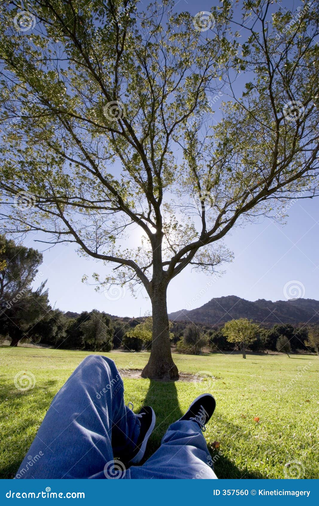 Chill out stock photo. Image of ecological, flare, chill - 357560