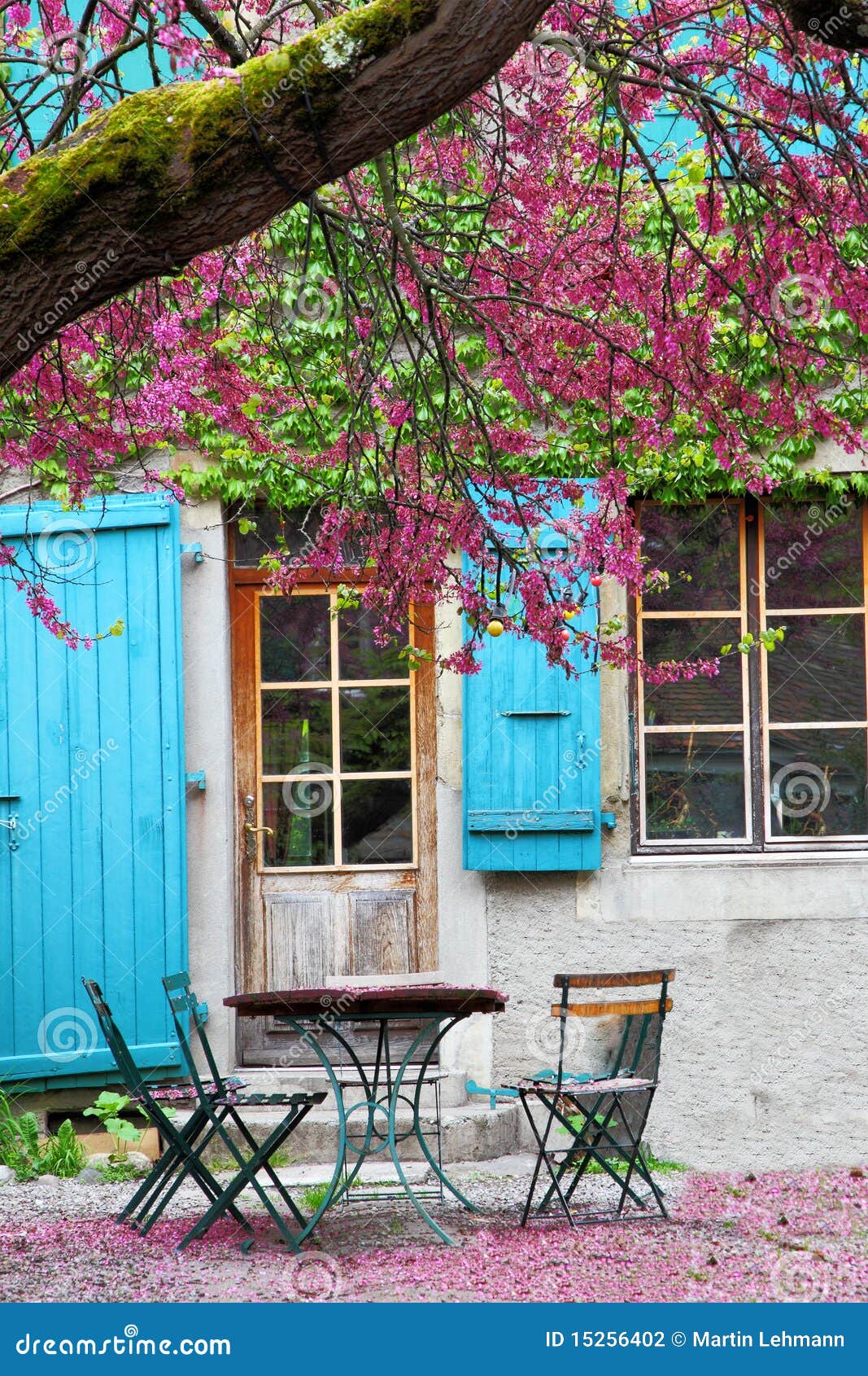 Chill under a tree stock photo. Image of branch, elder - 15256402
