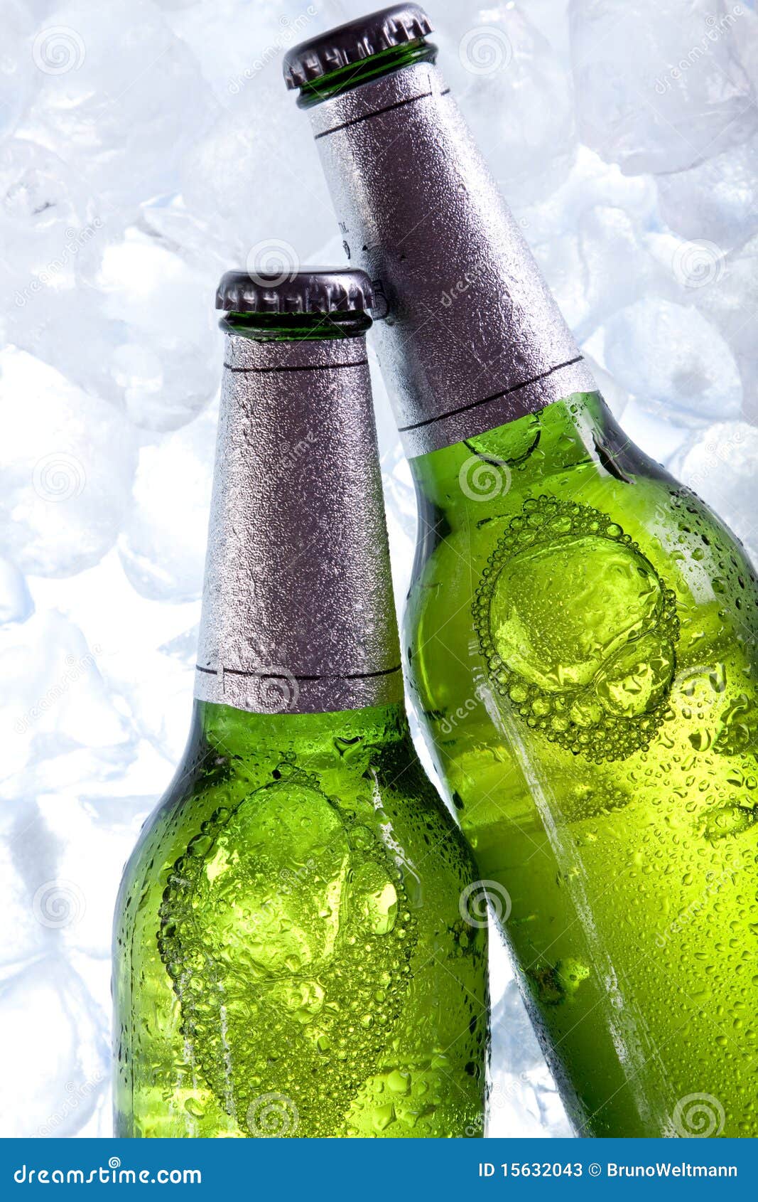 Chilled beer in ice! stock image. Image of chilled, drink - 15632043