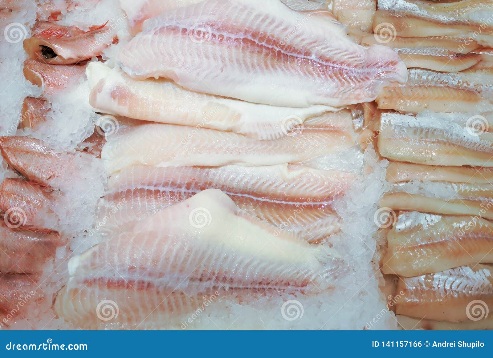 Chilled Fish in the Ice on the Counter in the Store Stock Photo - Image ...