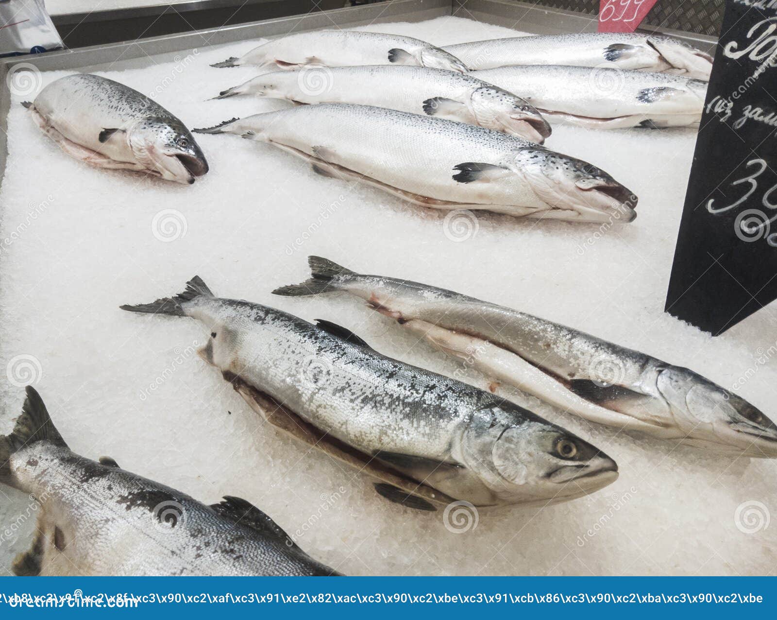 Chilled Fish is on the Supermarket Counter Stock Image - Image of ...