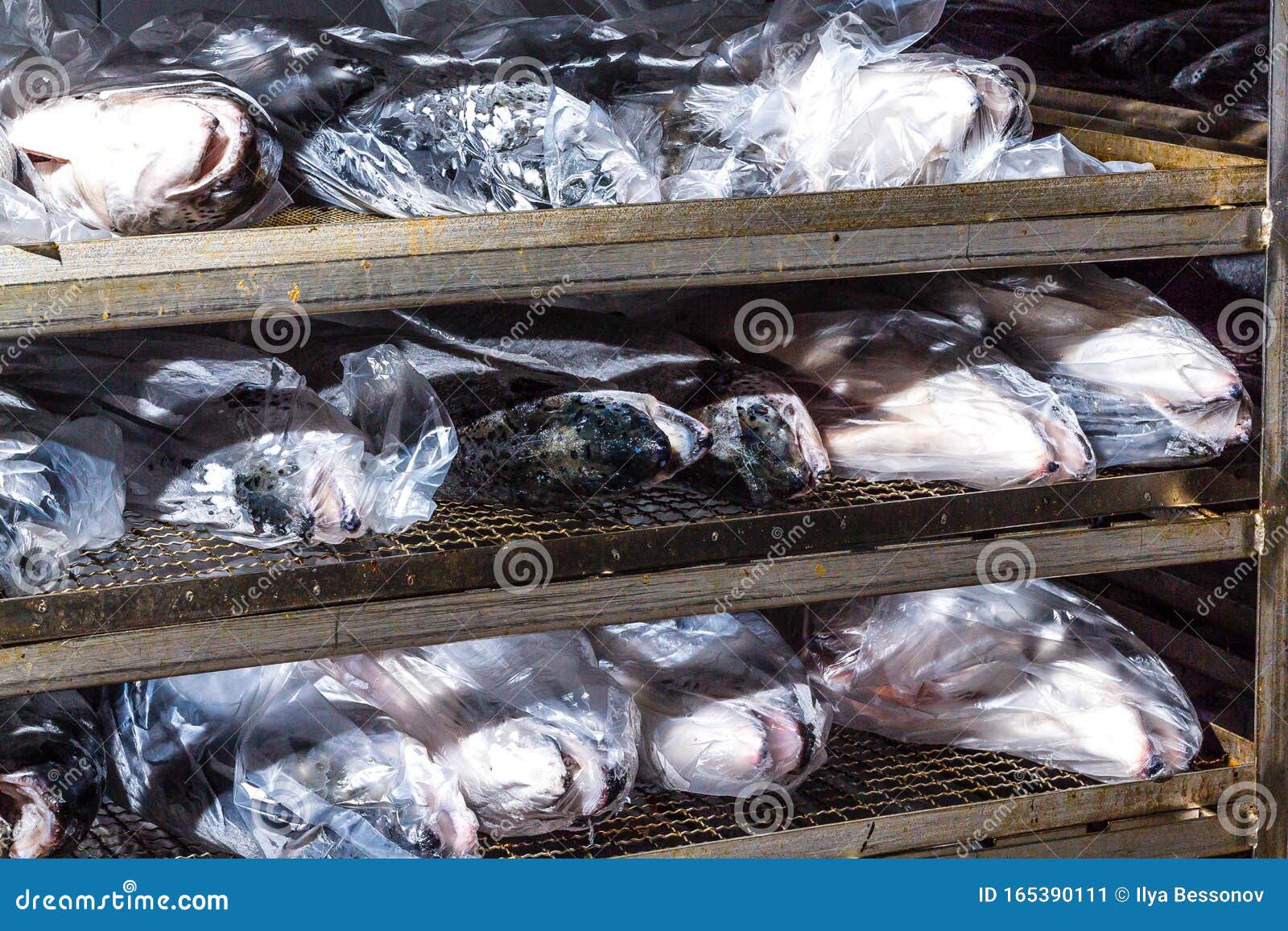 Chilled Fresh Fish on Shelves Laid Out for Processing and Packaging at ...