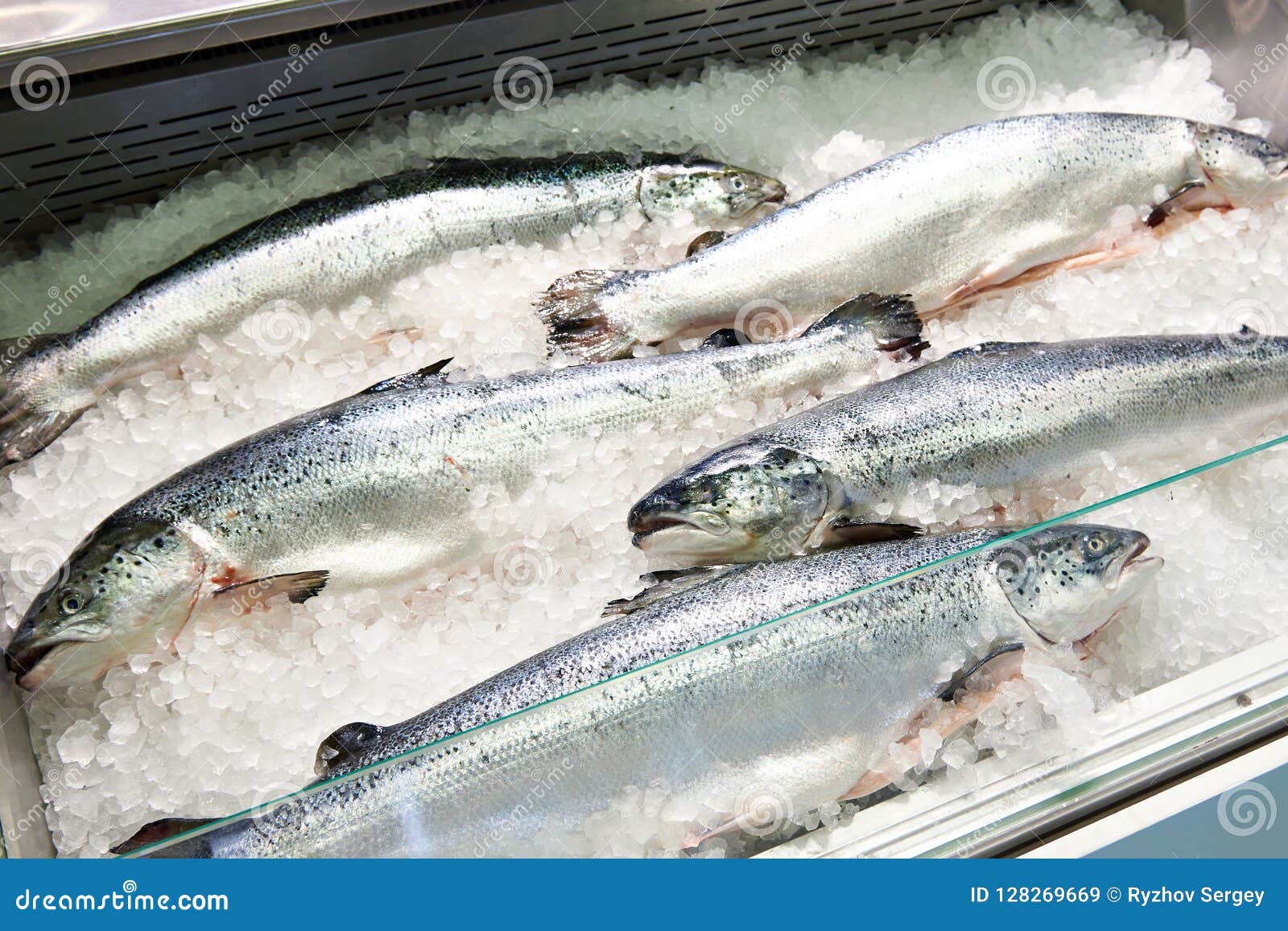Chilled Salmon in Ice on Shop Counter Stock Image - Image of ingredient ...