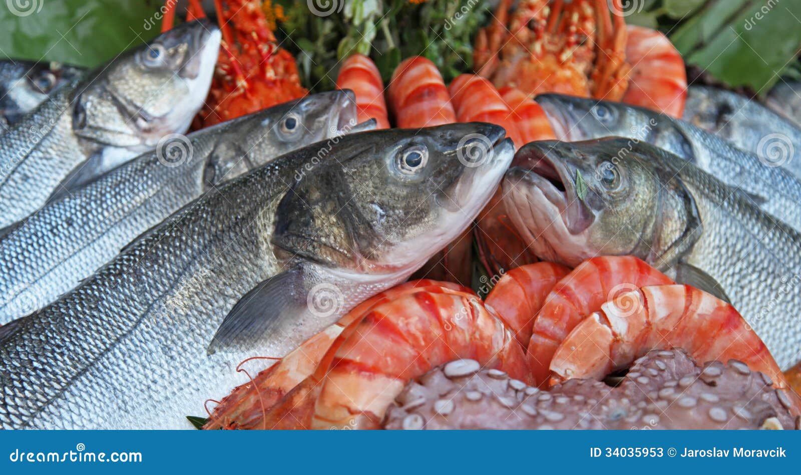 Chilled seafood stock image. Image of restaurant, fish - 34035953