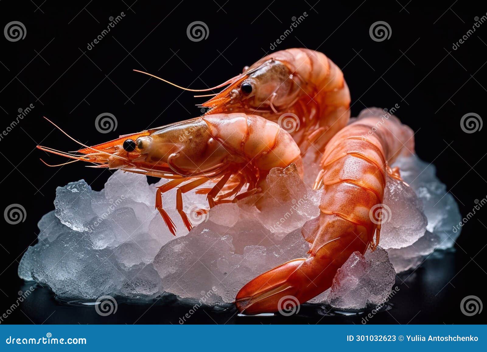 Chilled Shrimp with Ice. Freezing Shrimp Stock Illustration ...