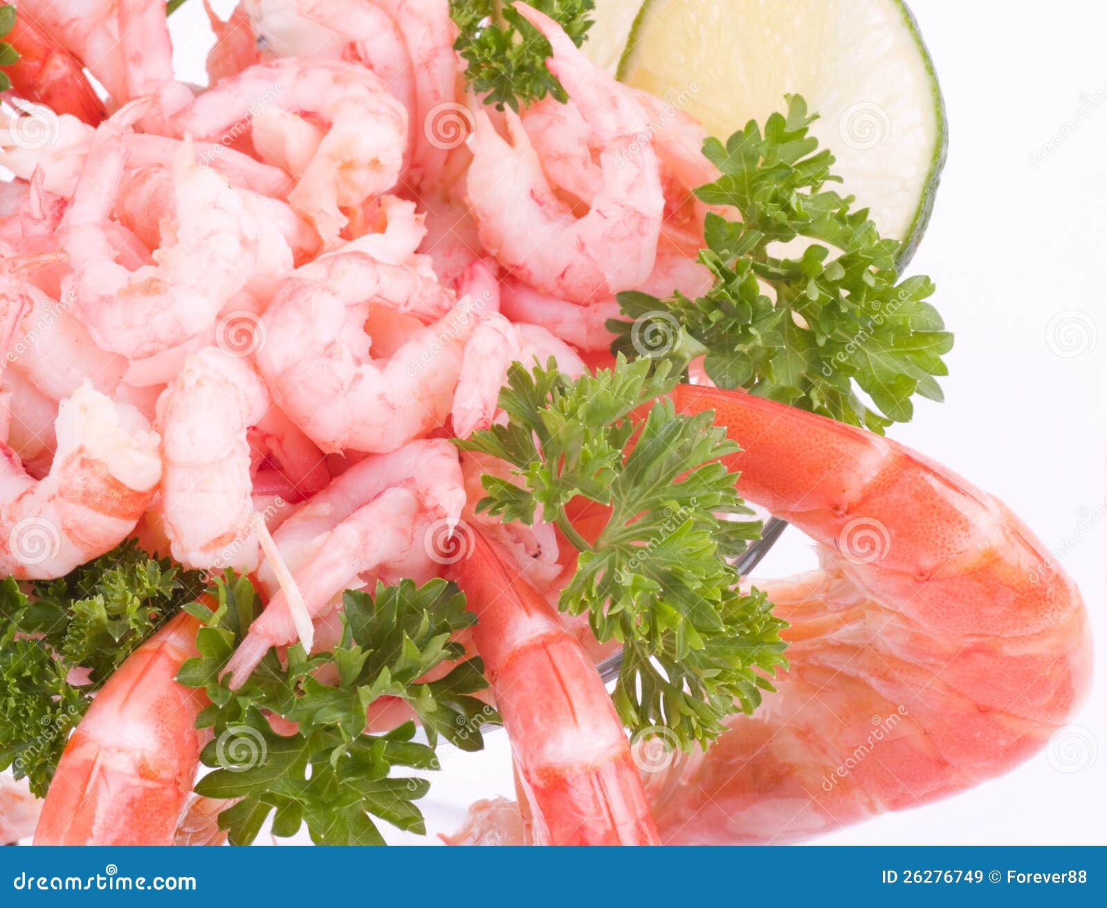 Chilled shrimp served stock image. Image of dill, green - 26276749