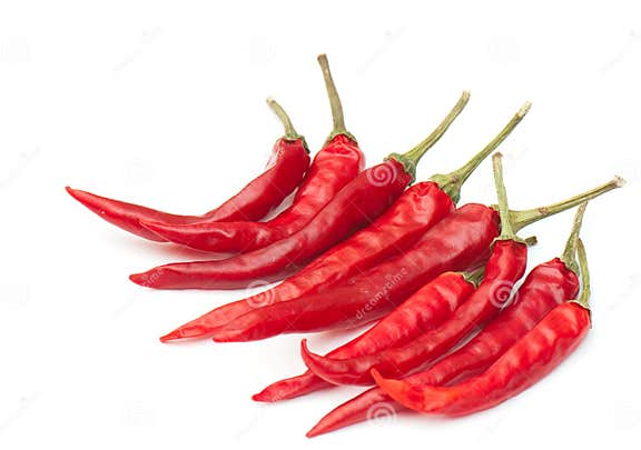 Chilli stock photo. Image of ingredient, aromatic, component - 13340870