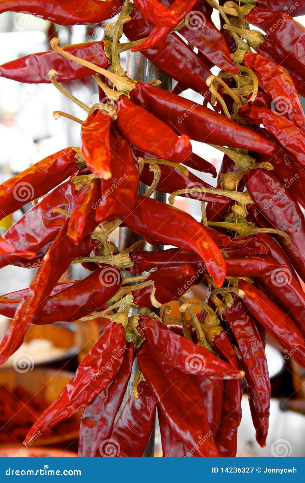 Chilli stock image. Image of chilli, spicy, market, abstract - 14236327