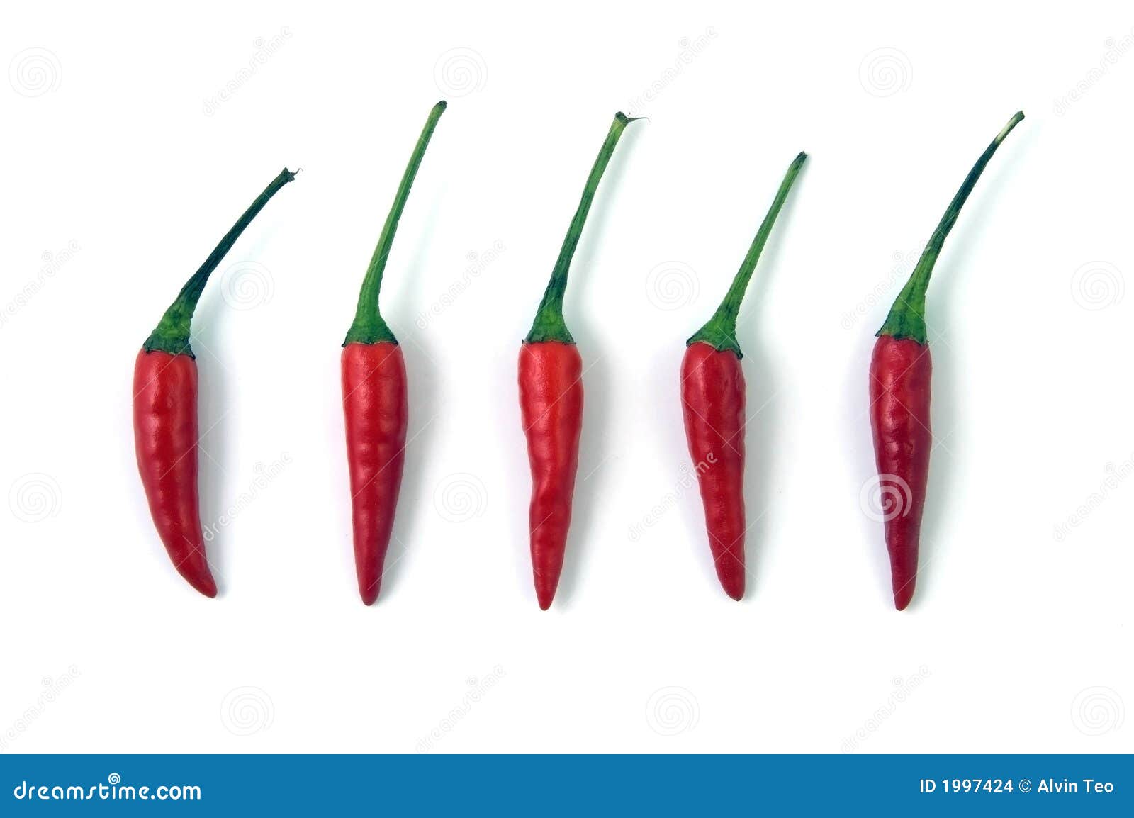 Chilli stock photo. Image of fiery, burn, chilli, asian - 1997424