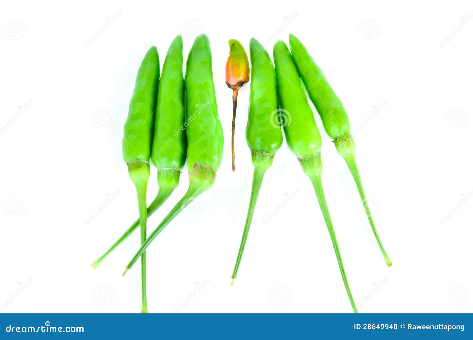 Chilli stock photo. Image of heat, ingredient, organic - 28649940