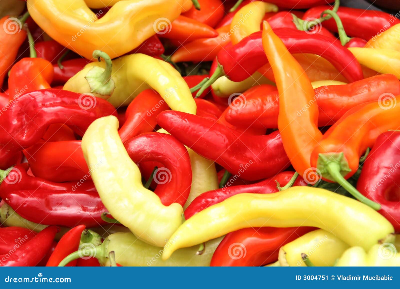 Chilli stock image. Image of cuisine, food, burn, heat - 3004751