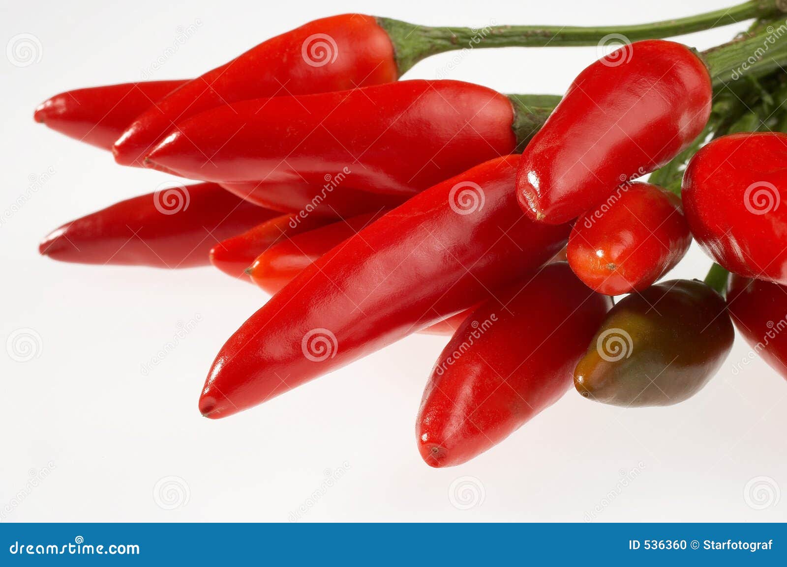 Chilli stock photo. Image of lebensstil, alimentation, aphrodisiac - 536360