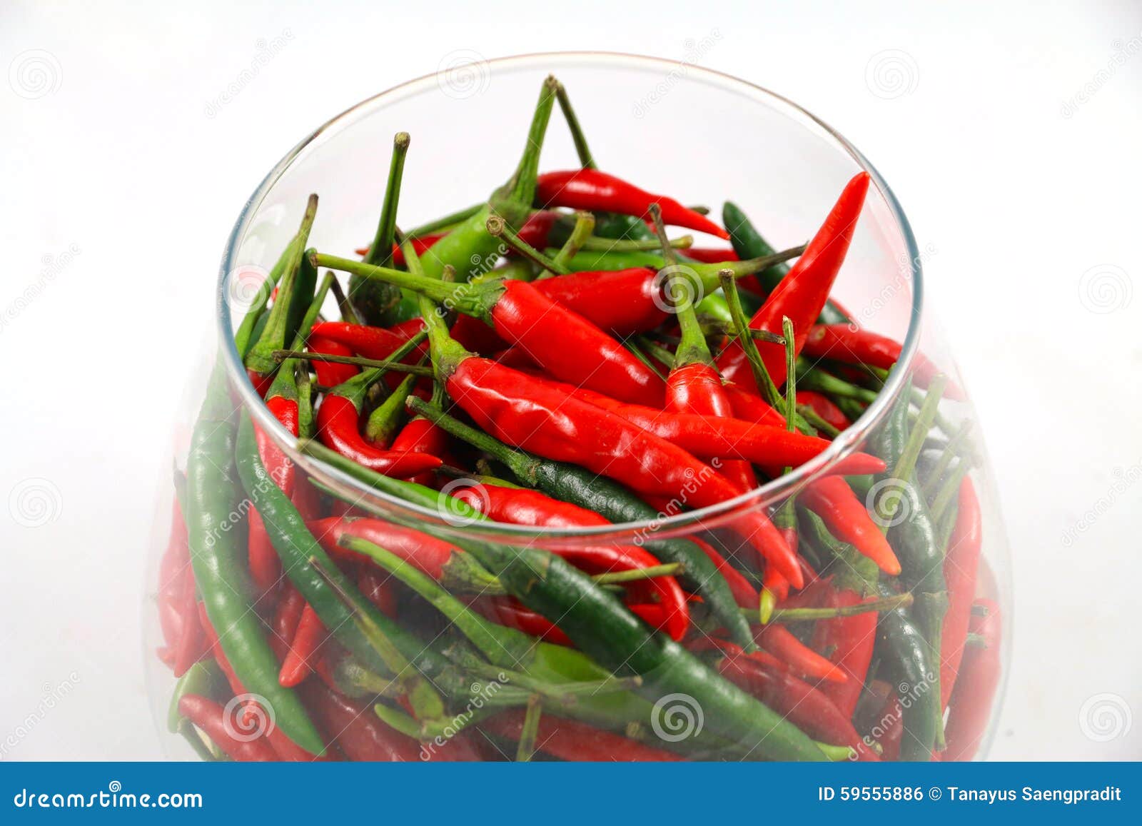 Chilli stock photo. Image of nature, cooking, bright - 59555886