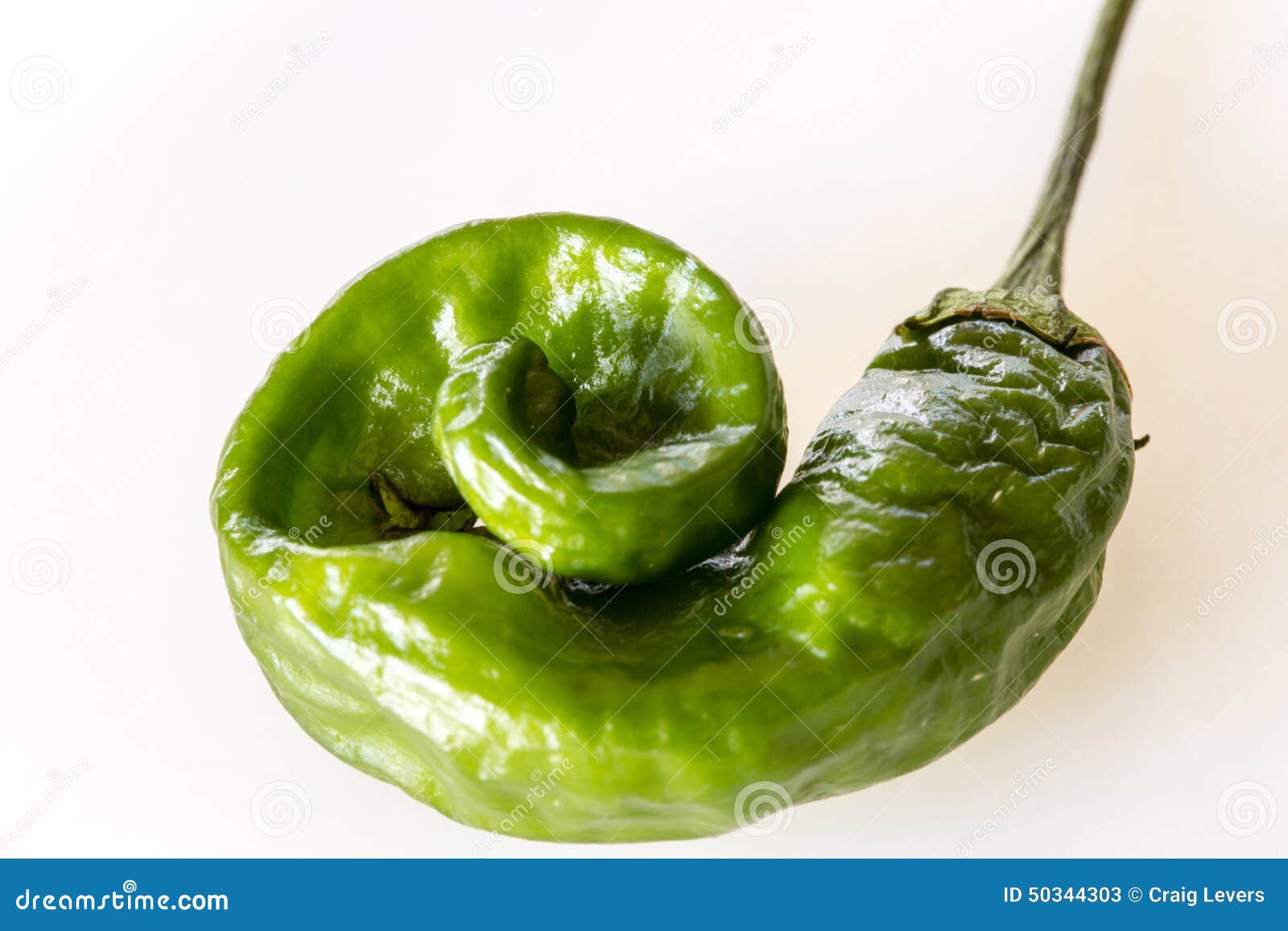 Chilli Curl stock image. Image of organic, natural, green - 50344303