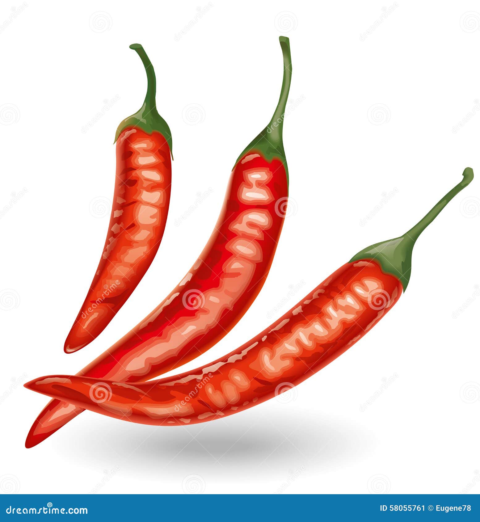 Chilli Cartoon Vector | CartoonDealer.com #58055761