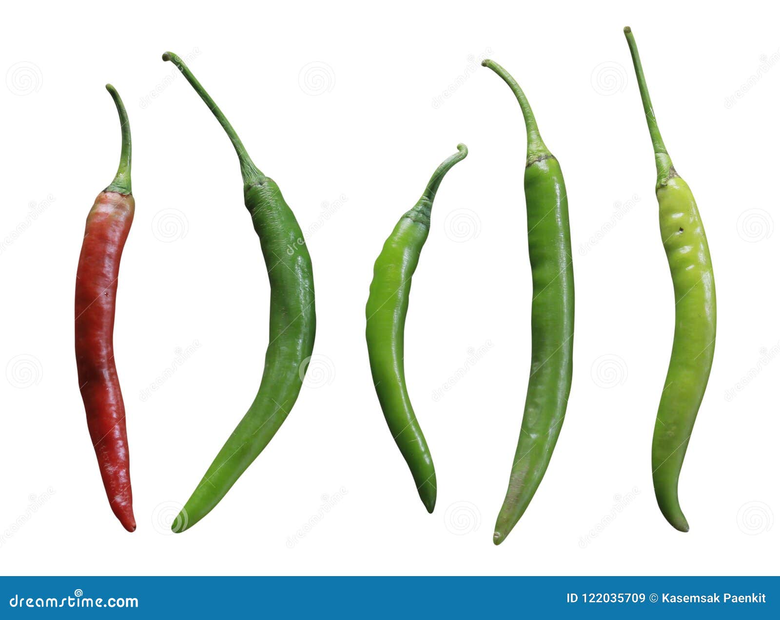 Chilli die cut isolate stock image. Image of chillies - 122035709