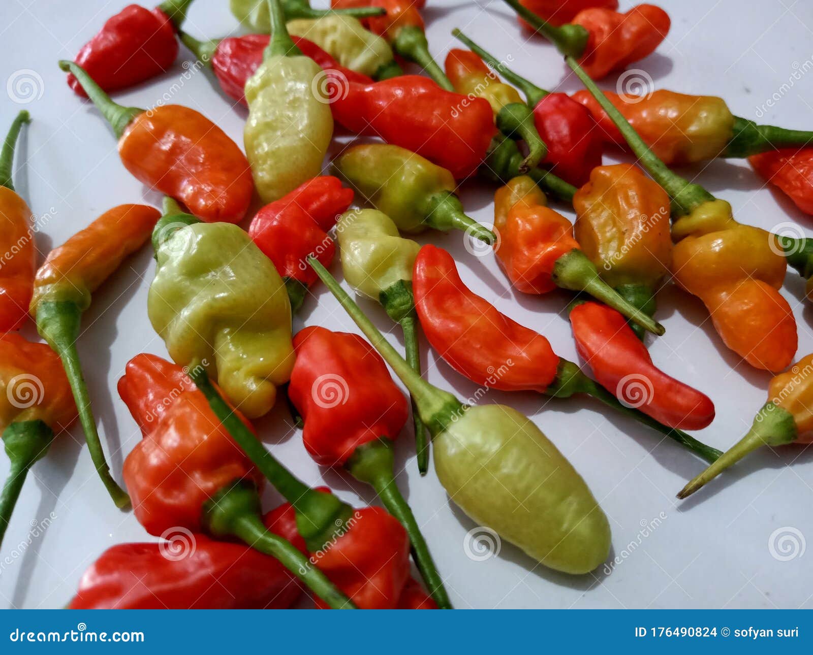 Chilli stock photo. Image of spring, seasoning, background - 176490824