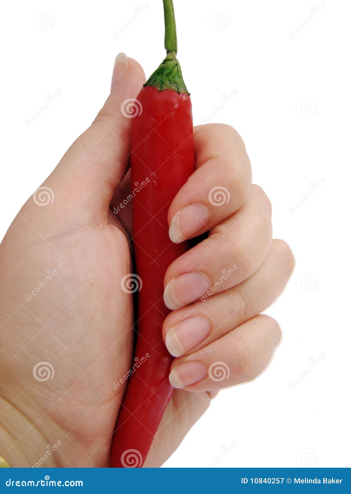 Chilli in Hand stock image. Image of closeup, health - 10840257