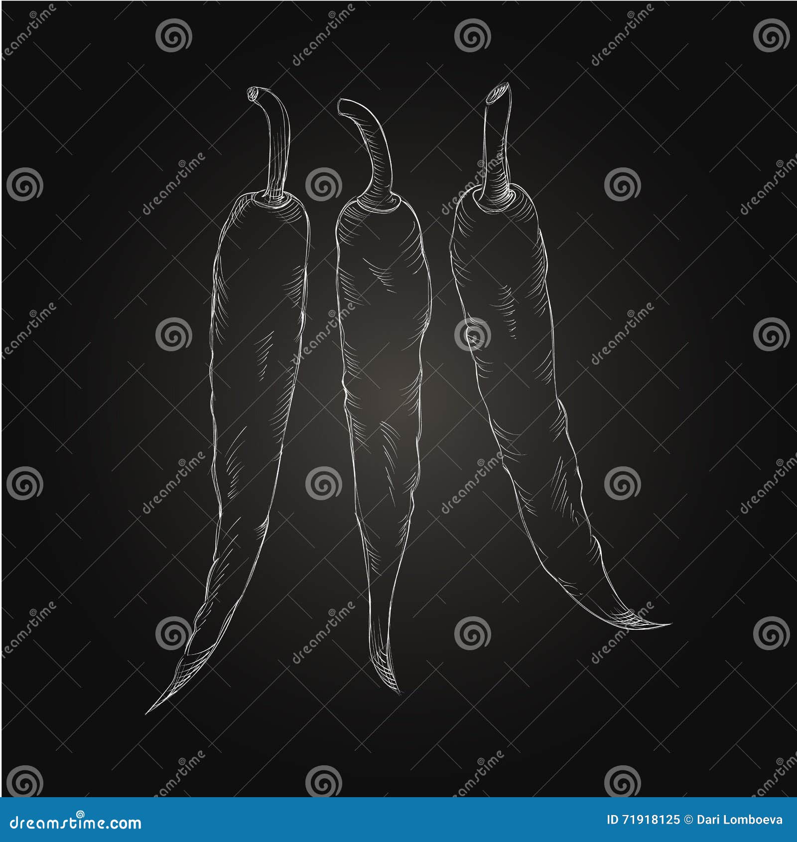 Chilli Hand Drawing Engraving Illustration Black And White Clipart ...