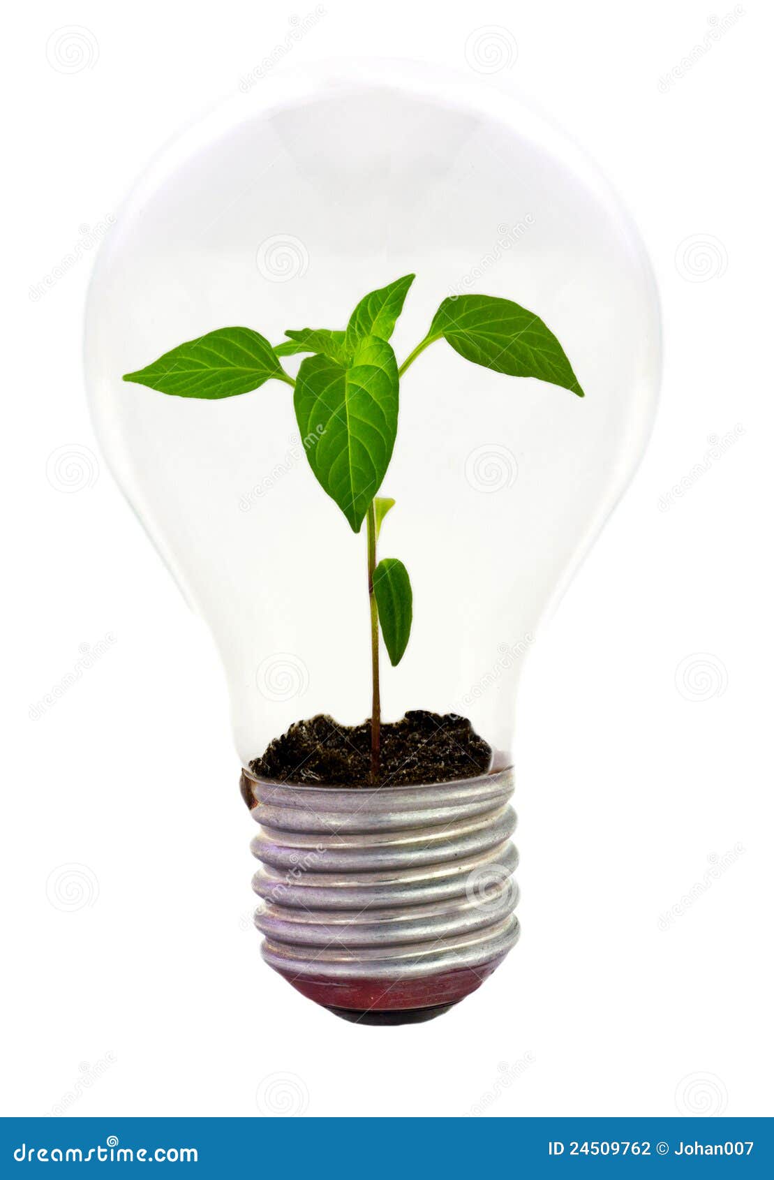 Chilli Inside the Light Bulb Stock Photo - Image of care, edison: 24509762