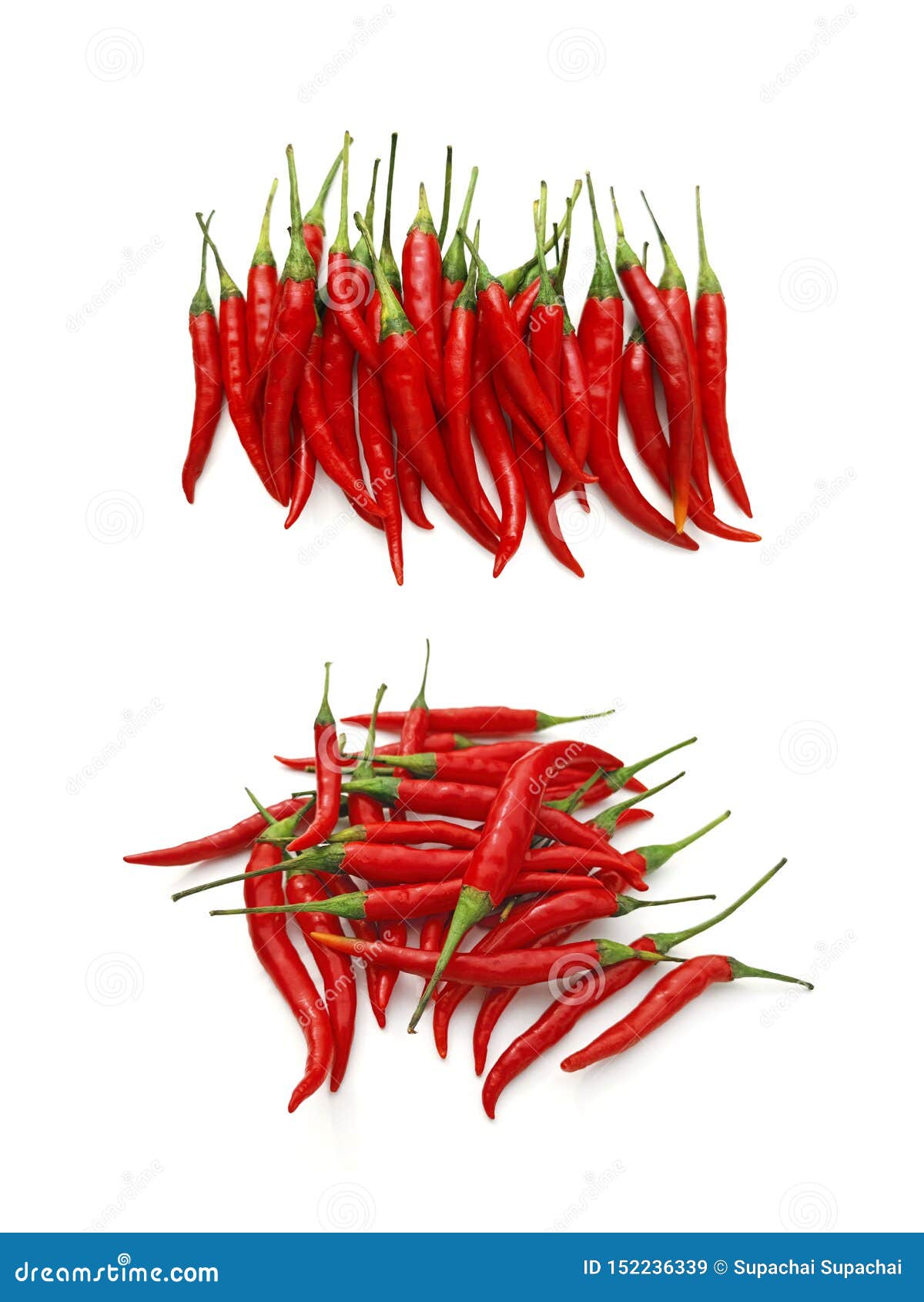 Chilli Isolated on White Background Stock Image - Image of eating ...