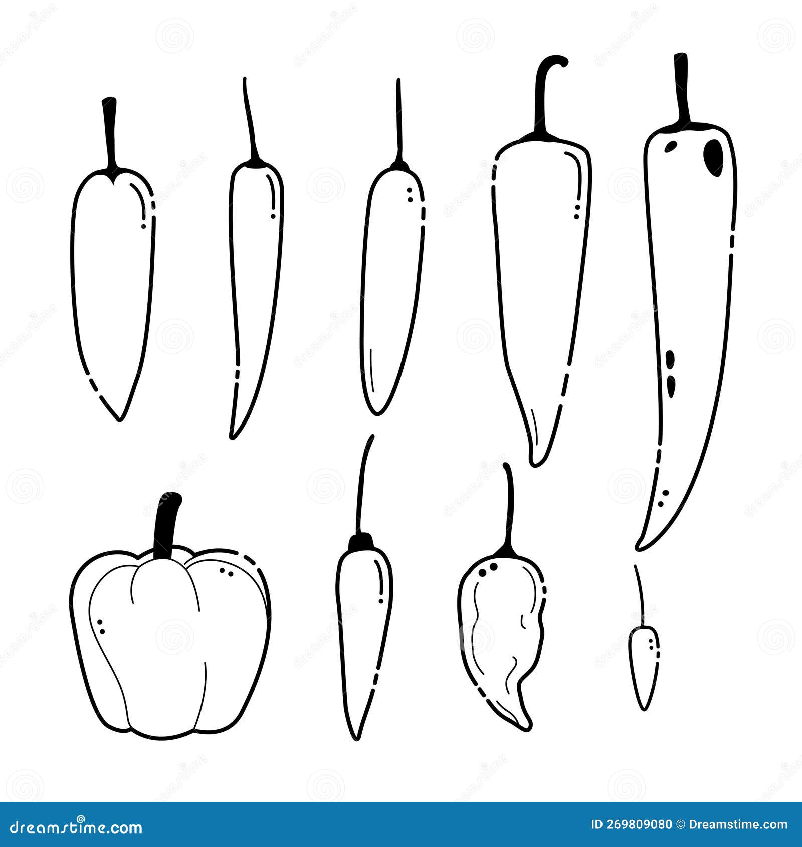 Chilli outline collection stock vector. Illustration of pepper - 269809080