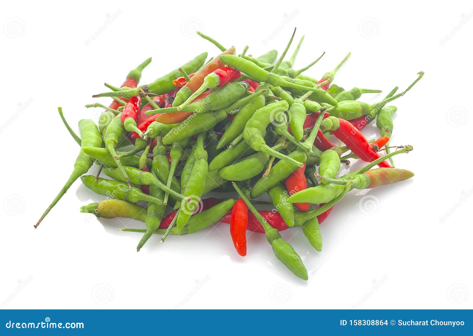 Chilli Padi, Bird`s Eye Chilli, Bird Chilli, Thai Pepper Stock Photo ...