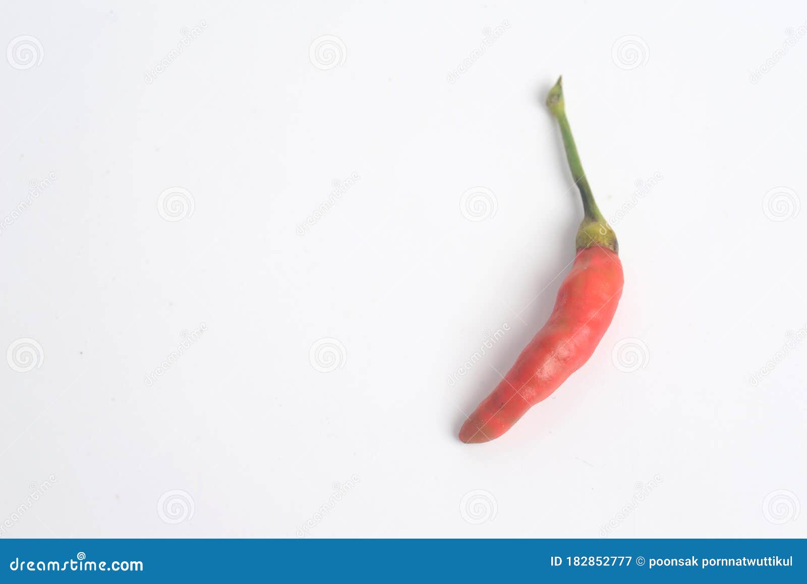 Chilli Padi, Bird`s Eye Chilli, Bird Chilli, Thai Pepper or Capsicum ...