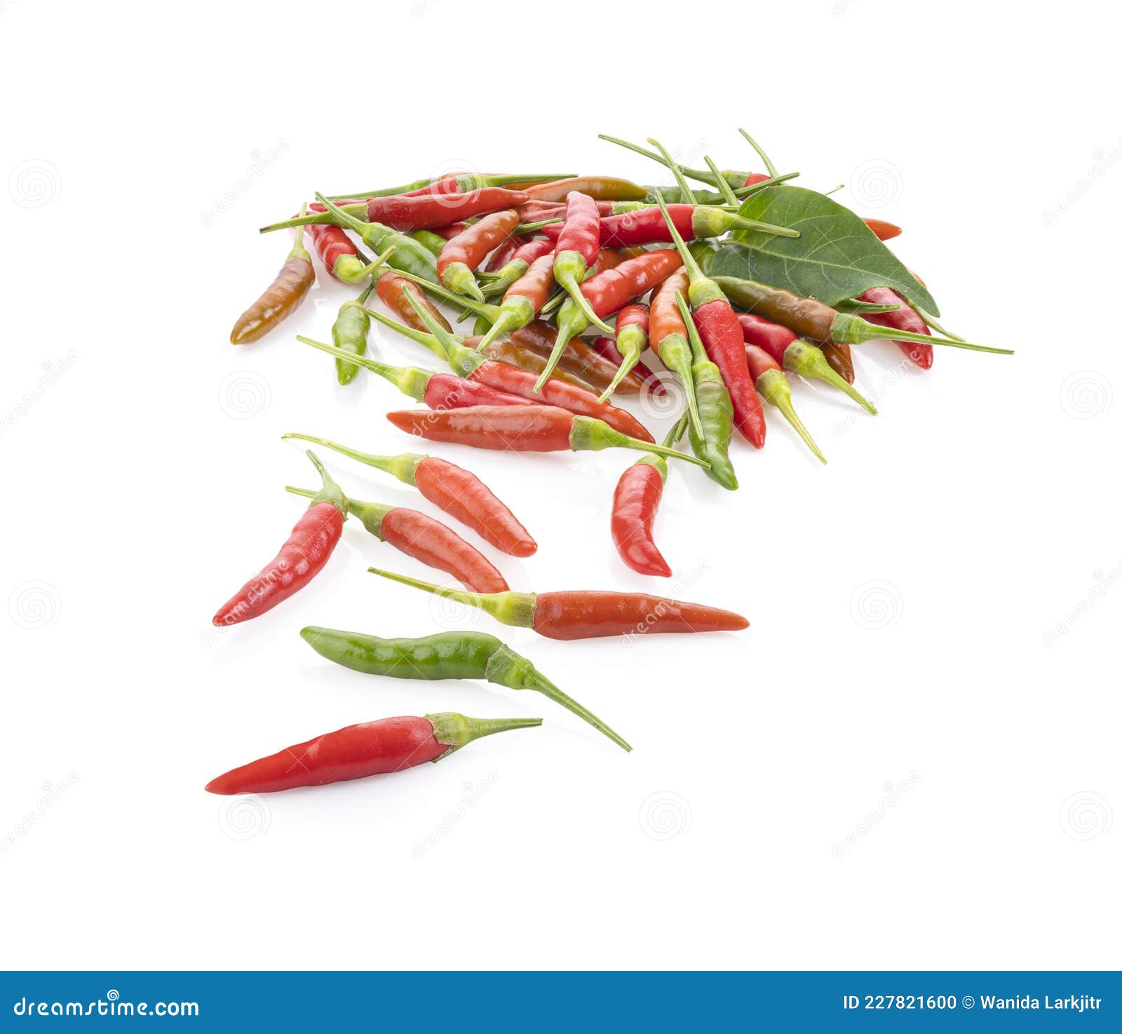 Chilli Padi, Bird Chilli on White Background Stock Photo - Image of ...