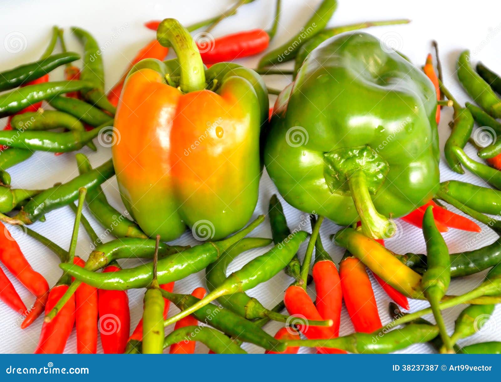 Chilli papper thai stock image. Image of thailand, mage - 38237387