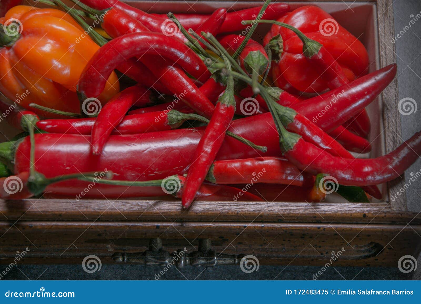 Chilli Pepper, Different Types and Colors, Close-up Photography Stock ...