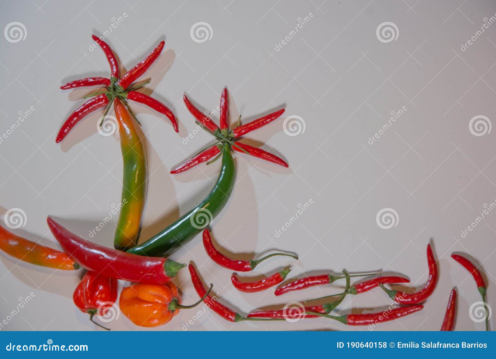 Chilli Pepper, Different Types and Colors, with Copy-space and White ...