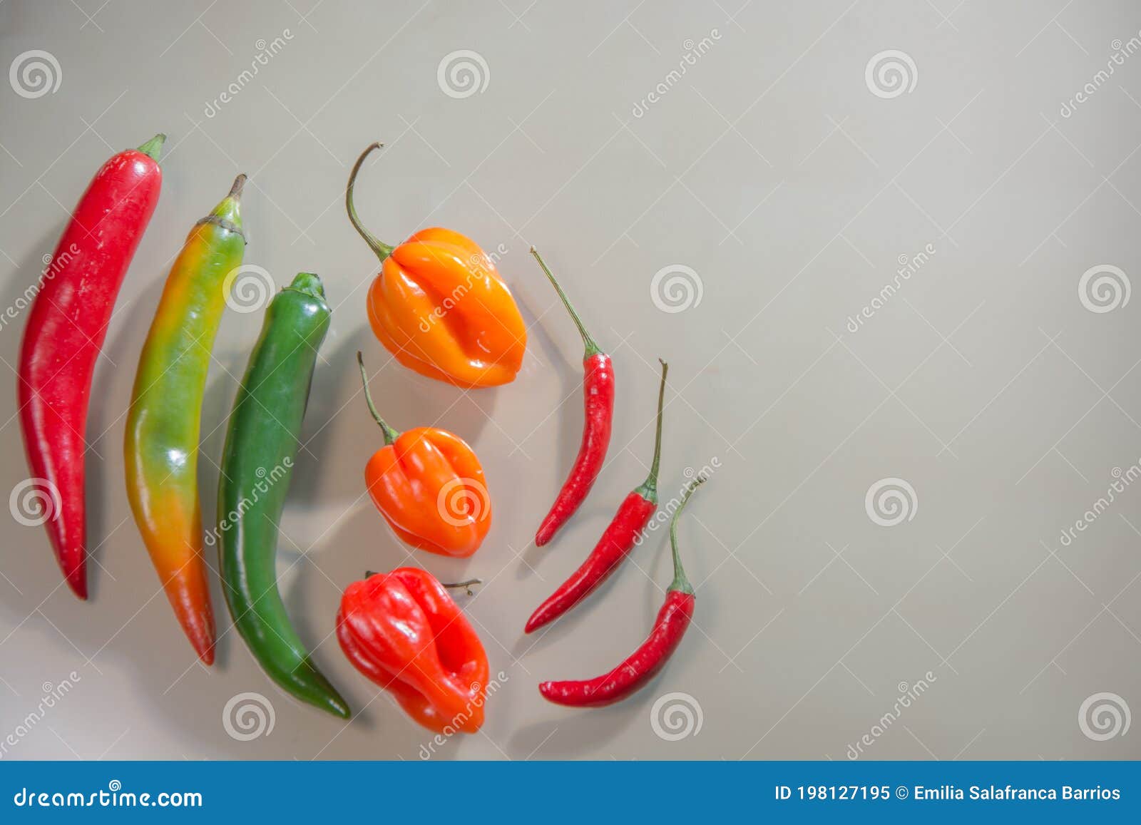 Chilli Pepper, Different Types and Colors, with Copy-space and White ...
