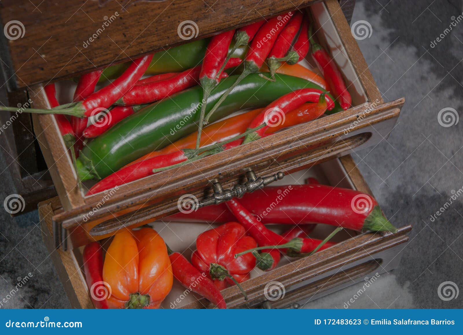 Chilli Pepper, Different Types and Colors, on Gray Background Stock ...