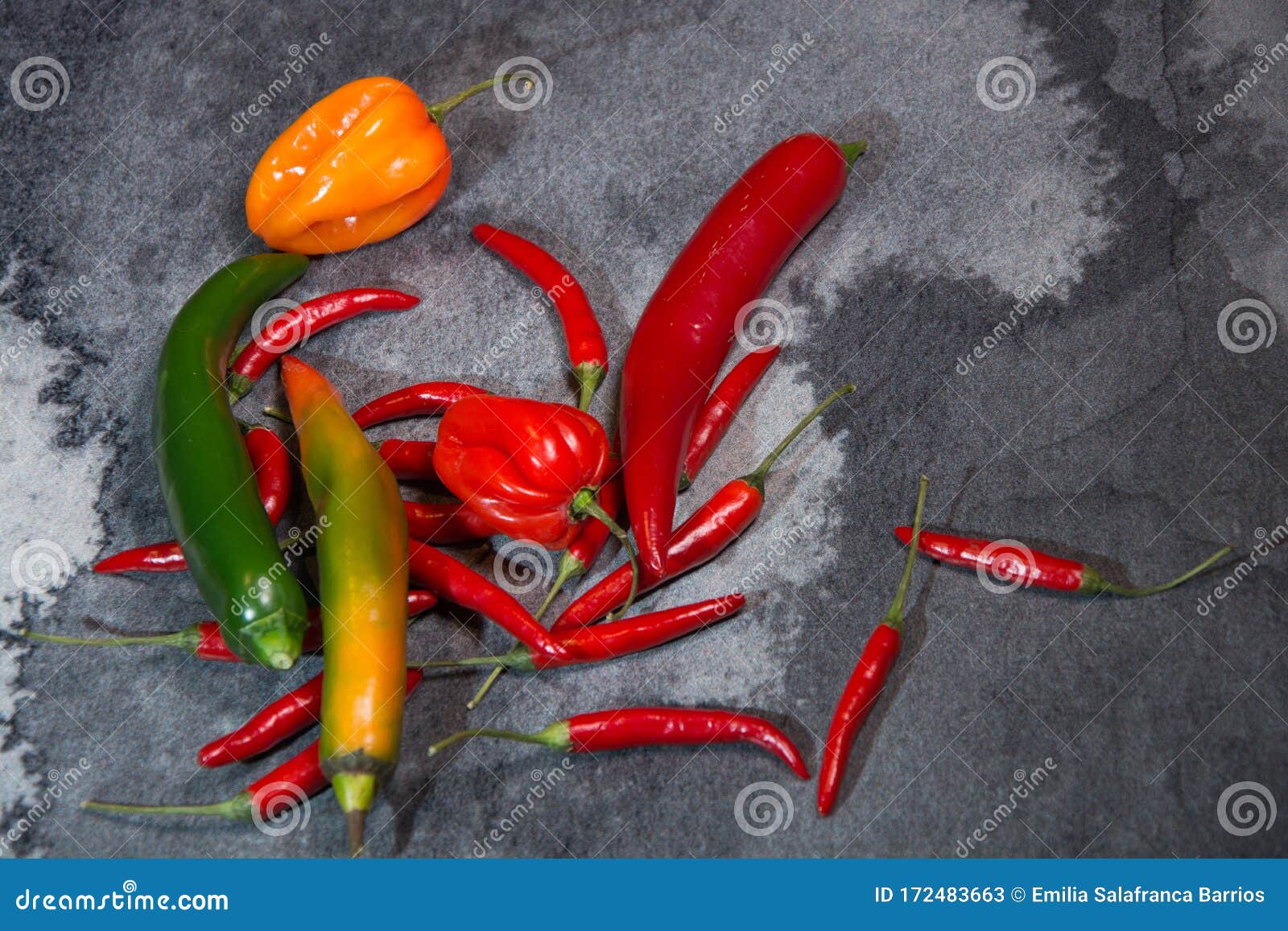 Chilli Pepper, Different Types and Colors, on Gray Background Stock ...