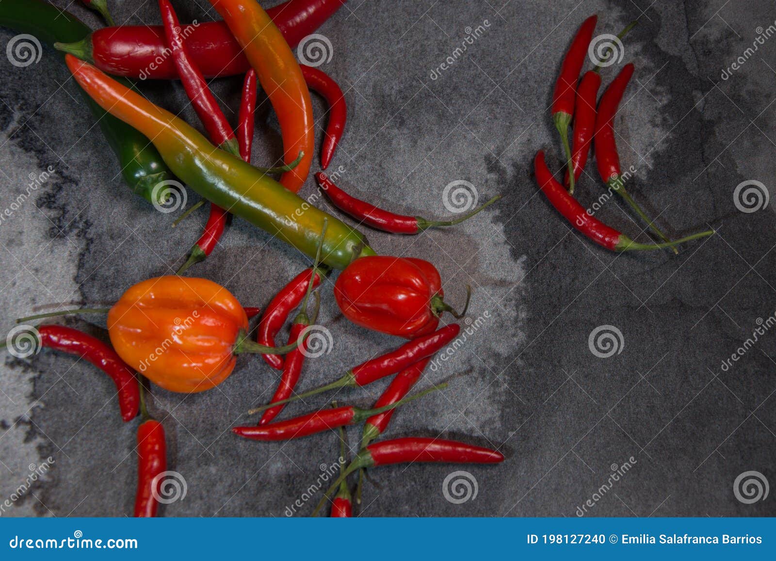 Chilli Pepper, Different Types And Colors, On Gray Background Royalty ...