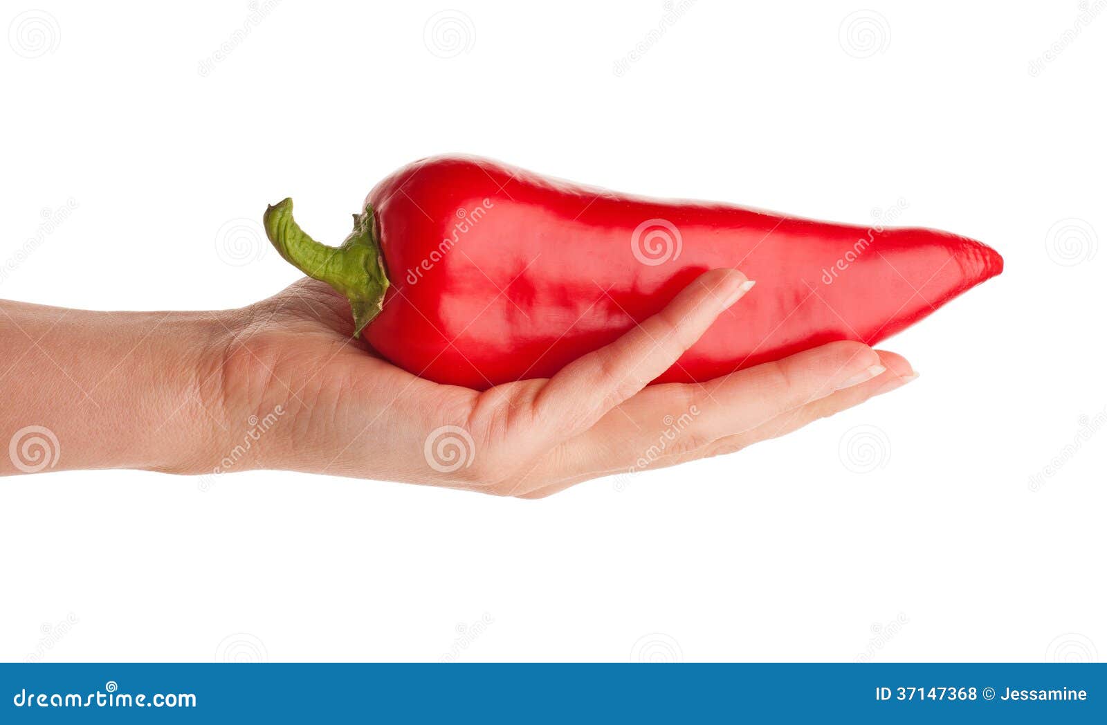 Chilli pepper in hand stock photo. Image of peppers, healthy - 37147368