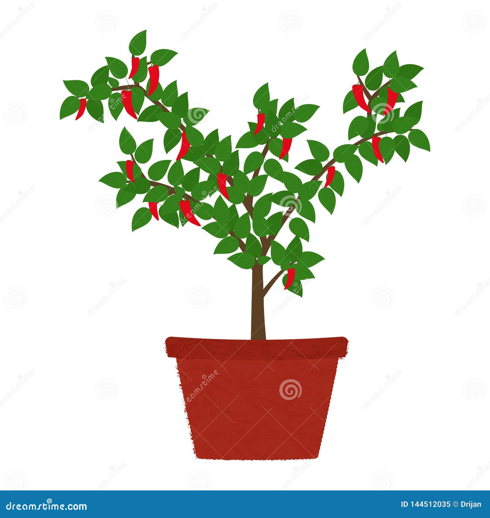 Chilli Tree Stock Illustrations – 99 Chilli Tree Stock Illustrations ...