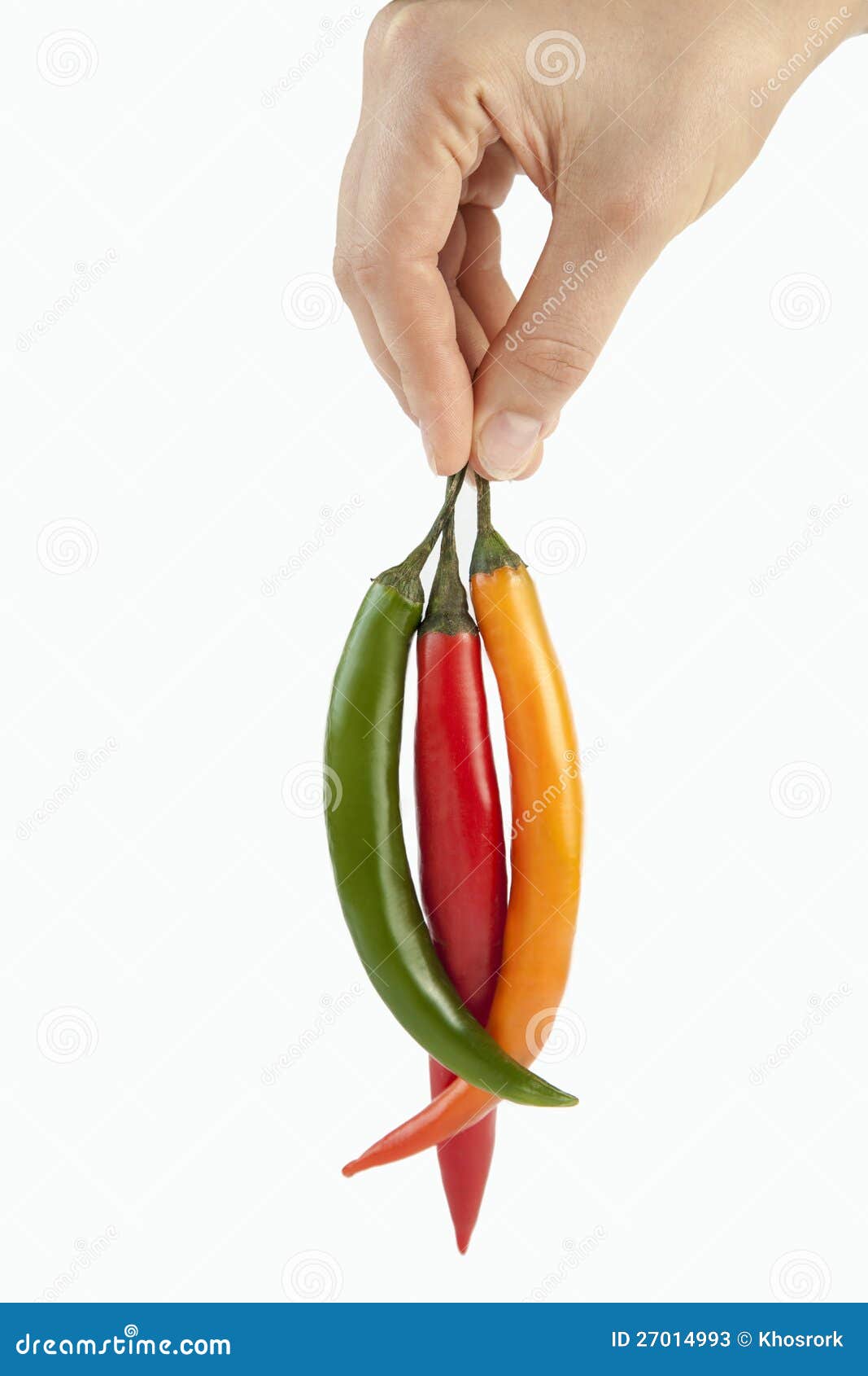 Chilli peppers in hand stock image. Image of fresh, food - 27014993